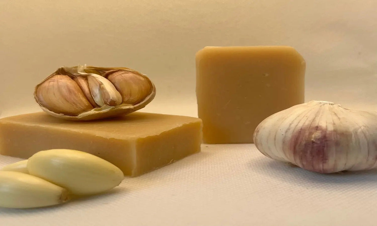 Garlic Magic: Unveiling Wonders of MaiaMc Revitalizing Soap – Aladdin