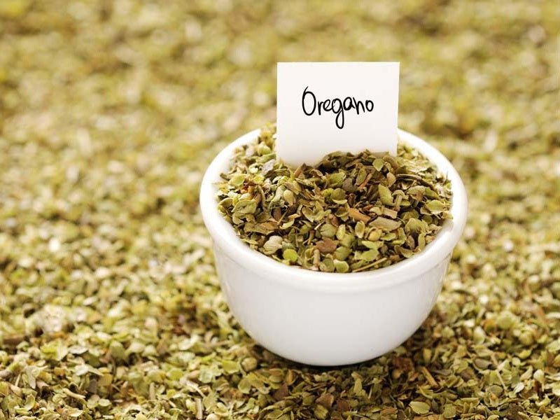 How Oregano Can Instantly Transform Your Cooking – Aladdin
